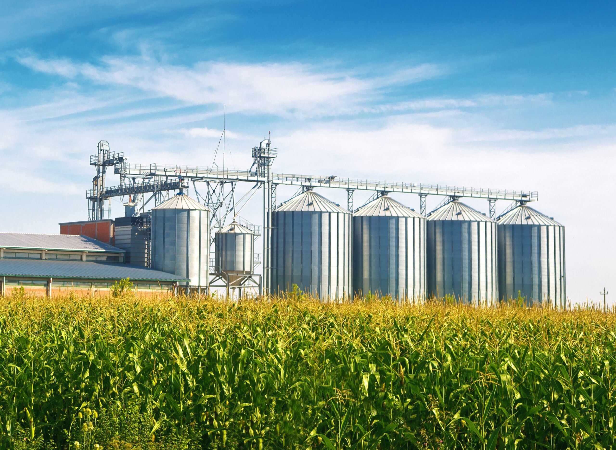 Case Study - Singleton Birch - Silo Storage Management